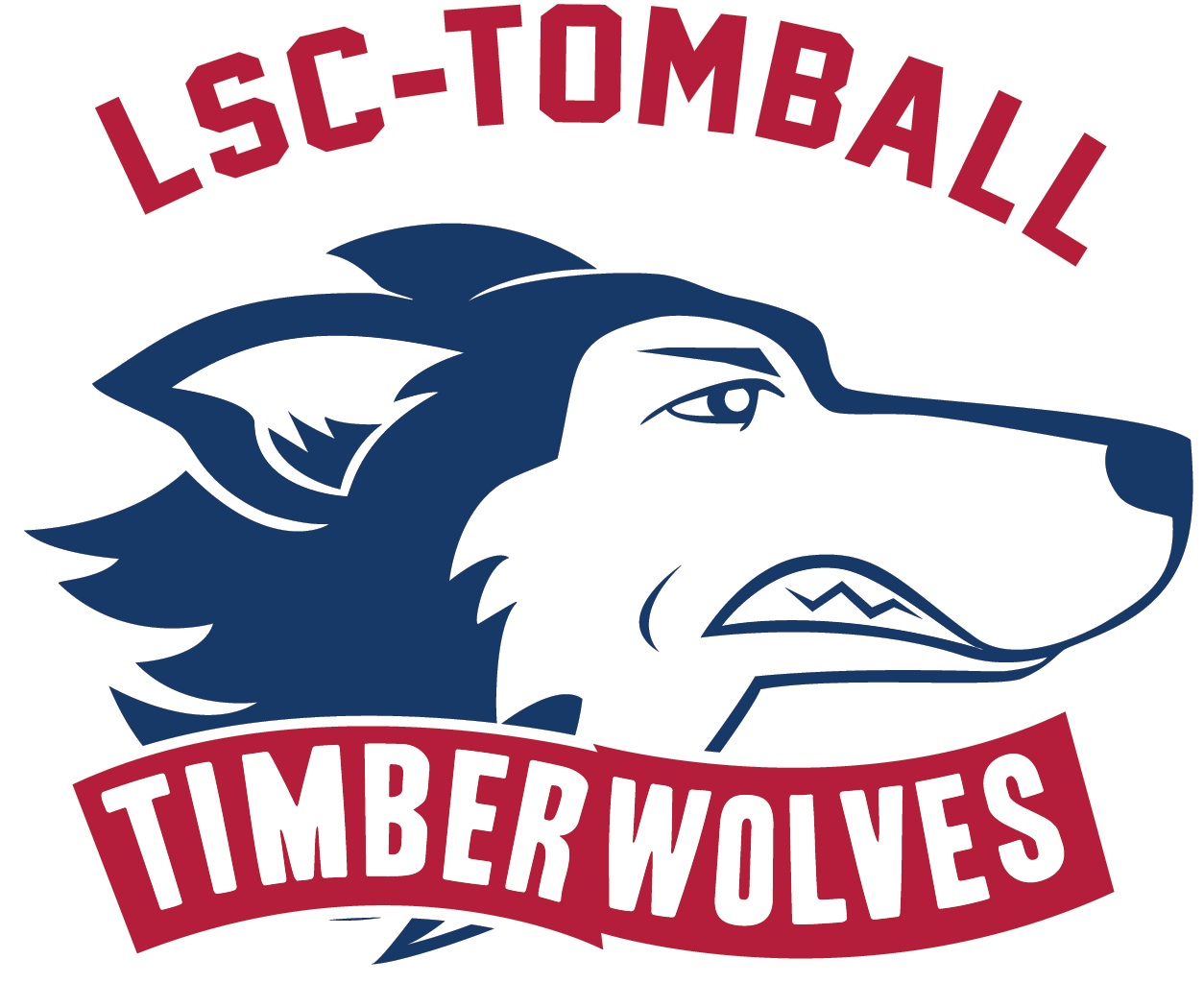 Resources and Forms for Student Organizations